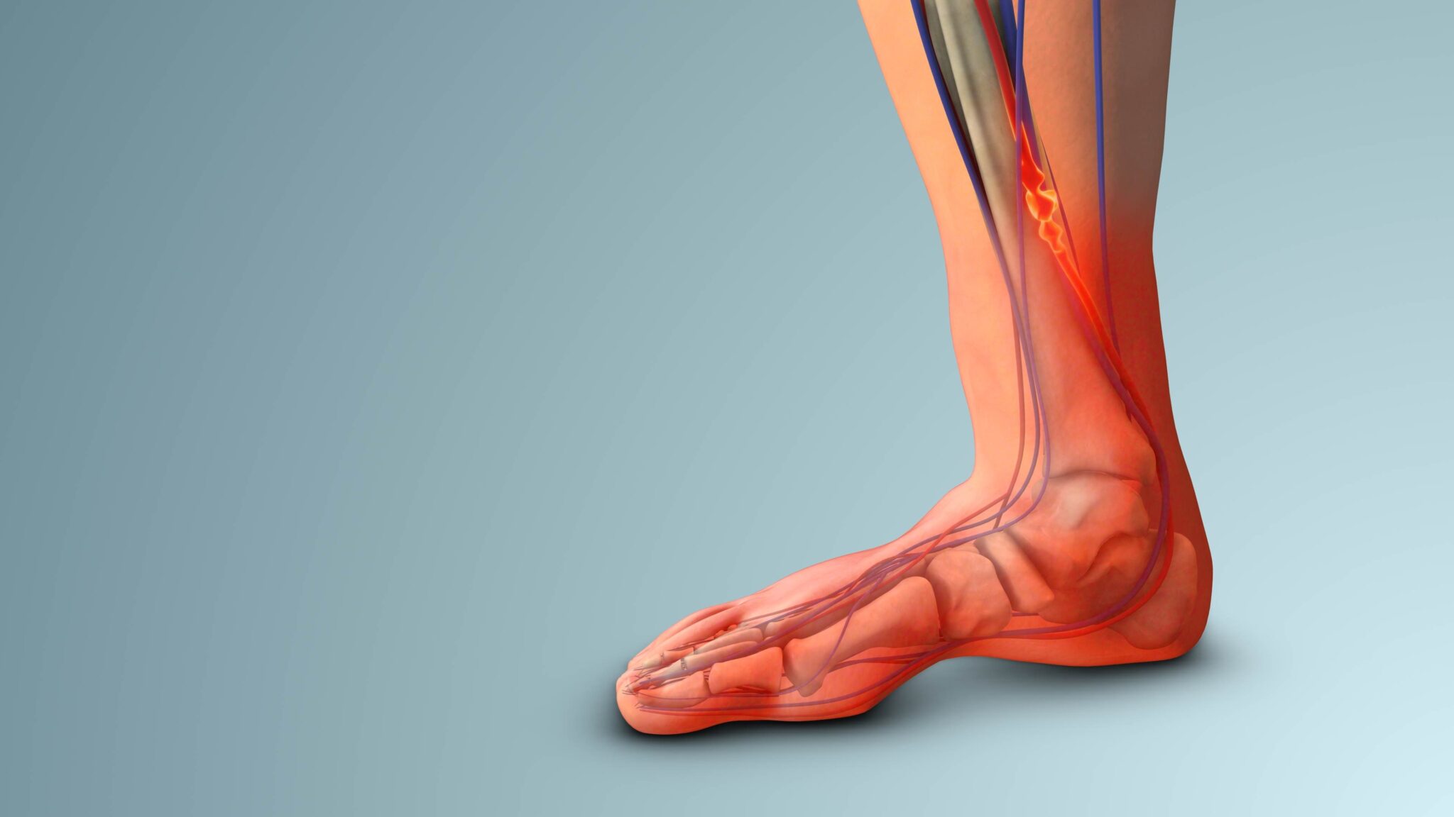 DVT Symptoms in the Legs When to Seek Medical Care | United Vein ...